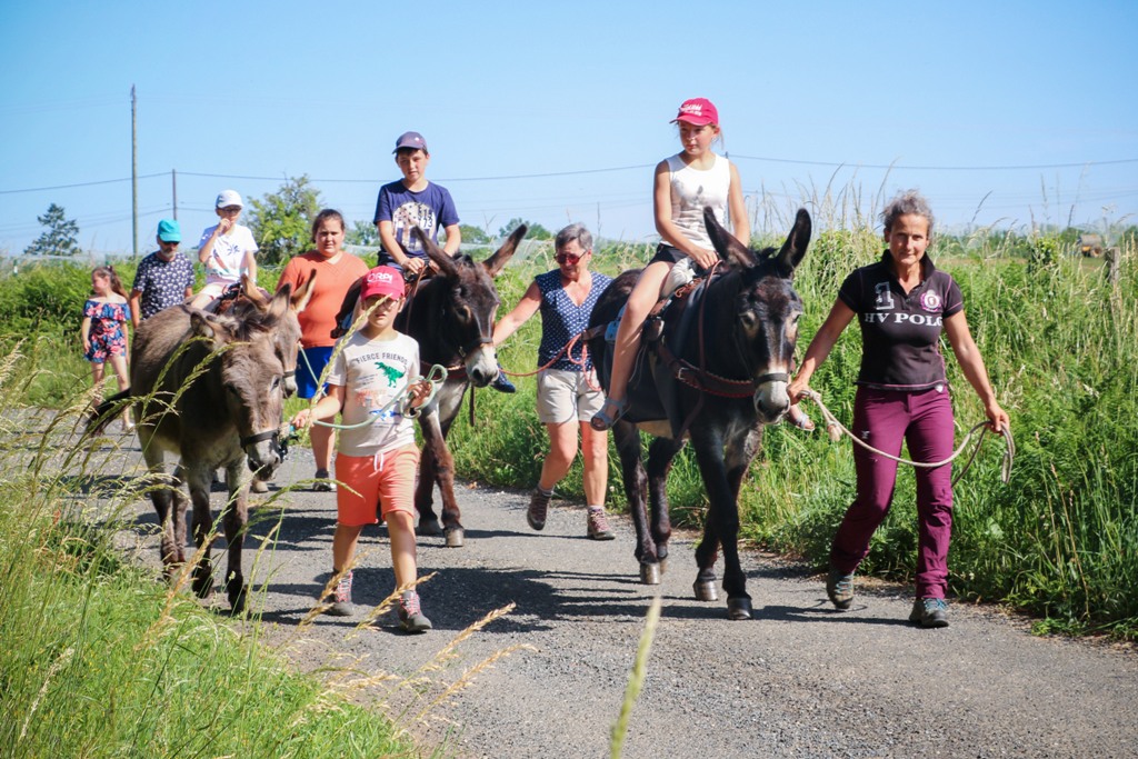 Les ânes de Ségur - SEGUR-LE-CHATEAU - Tourisme Corrèze