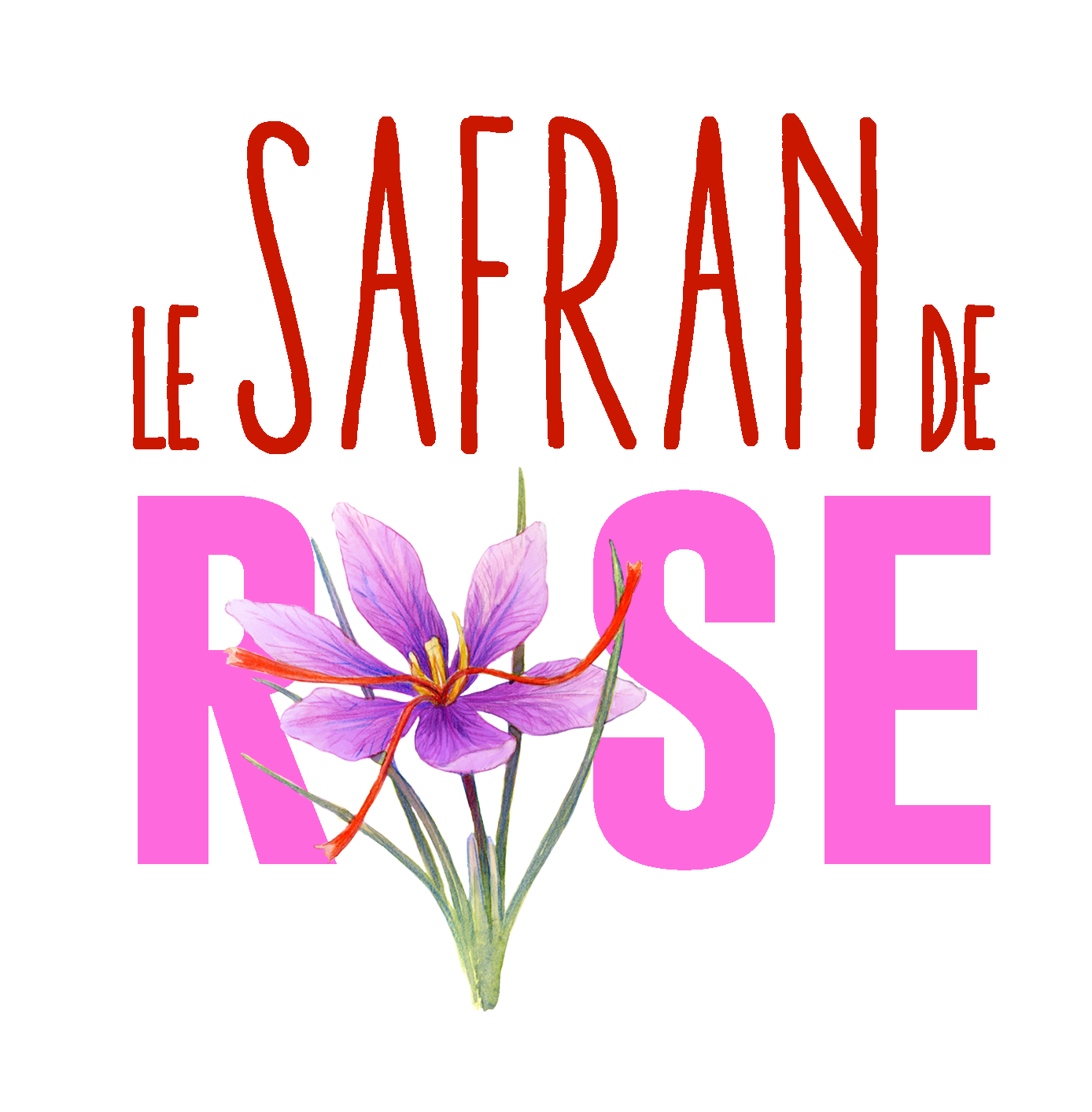 Le safran de rose - EYBURIE - Tourisme Corrèze
