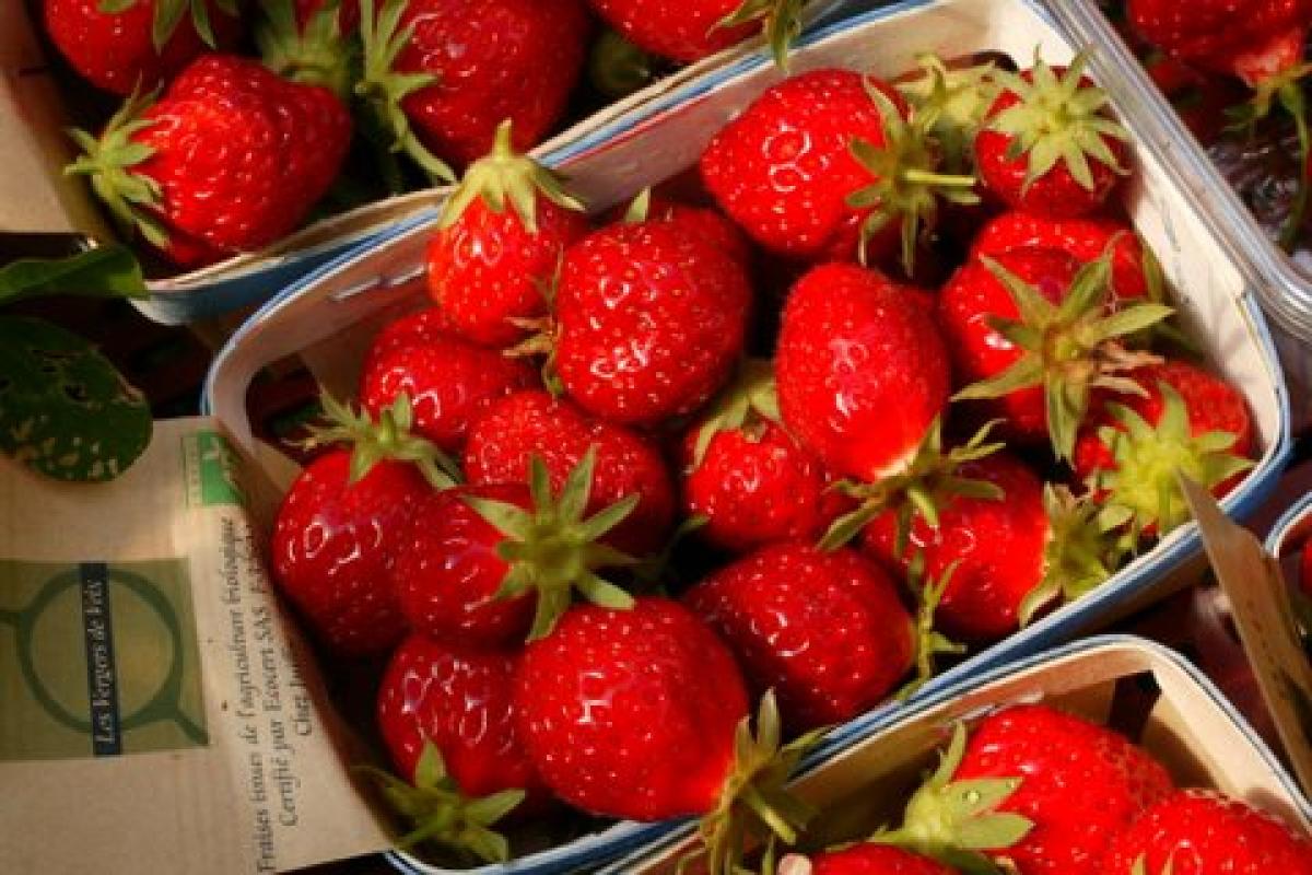 Les Vergers de Veix - VEIX - Dégustations (tous produits) - Tourisme ...