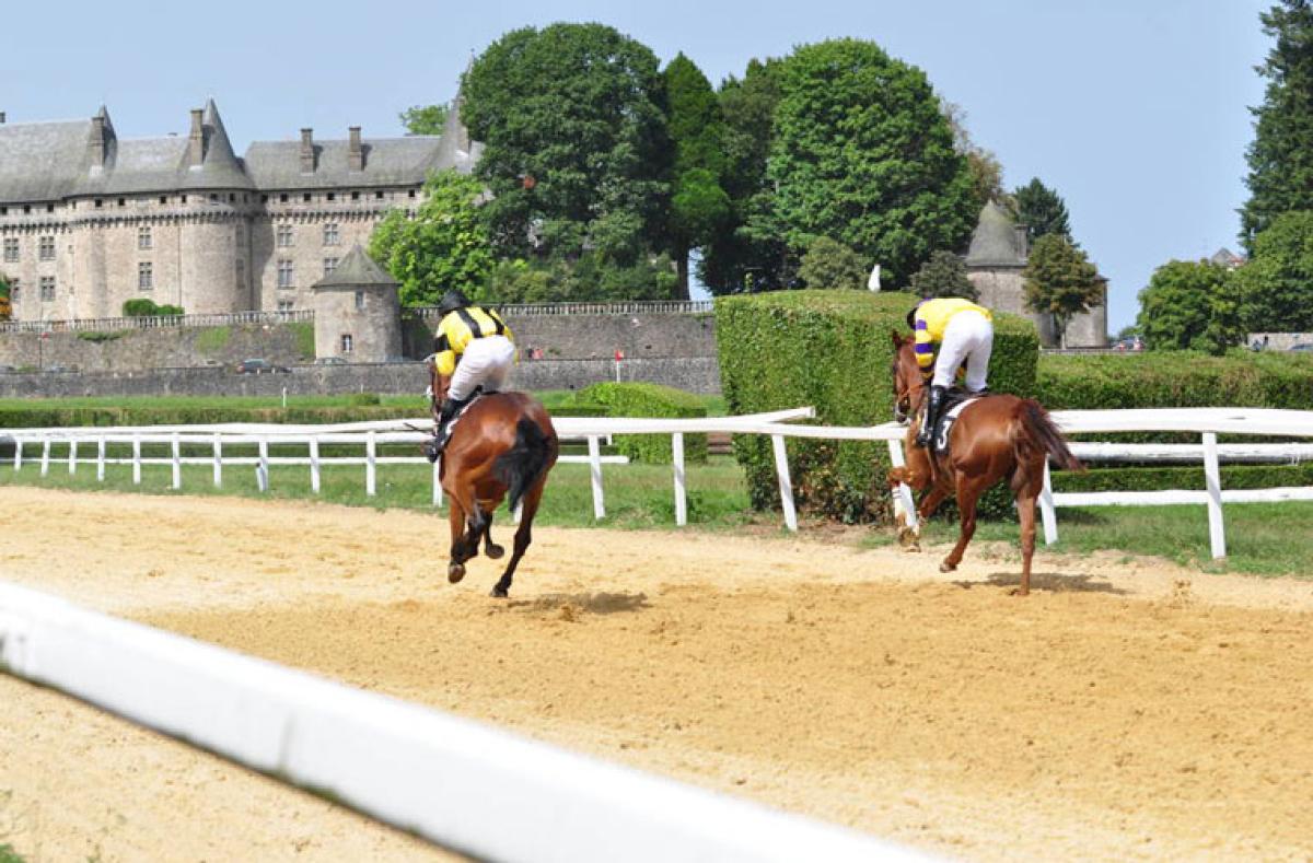 Pompadour, cité du cheval, au rythme de son Haras national | Tourisme ...